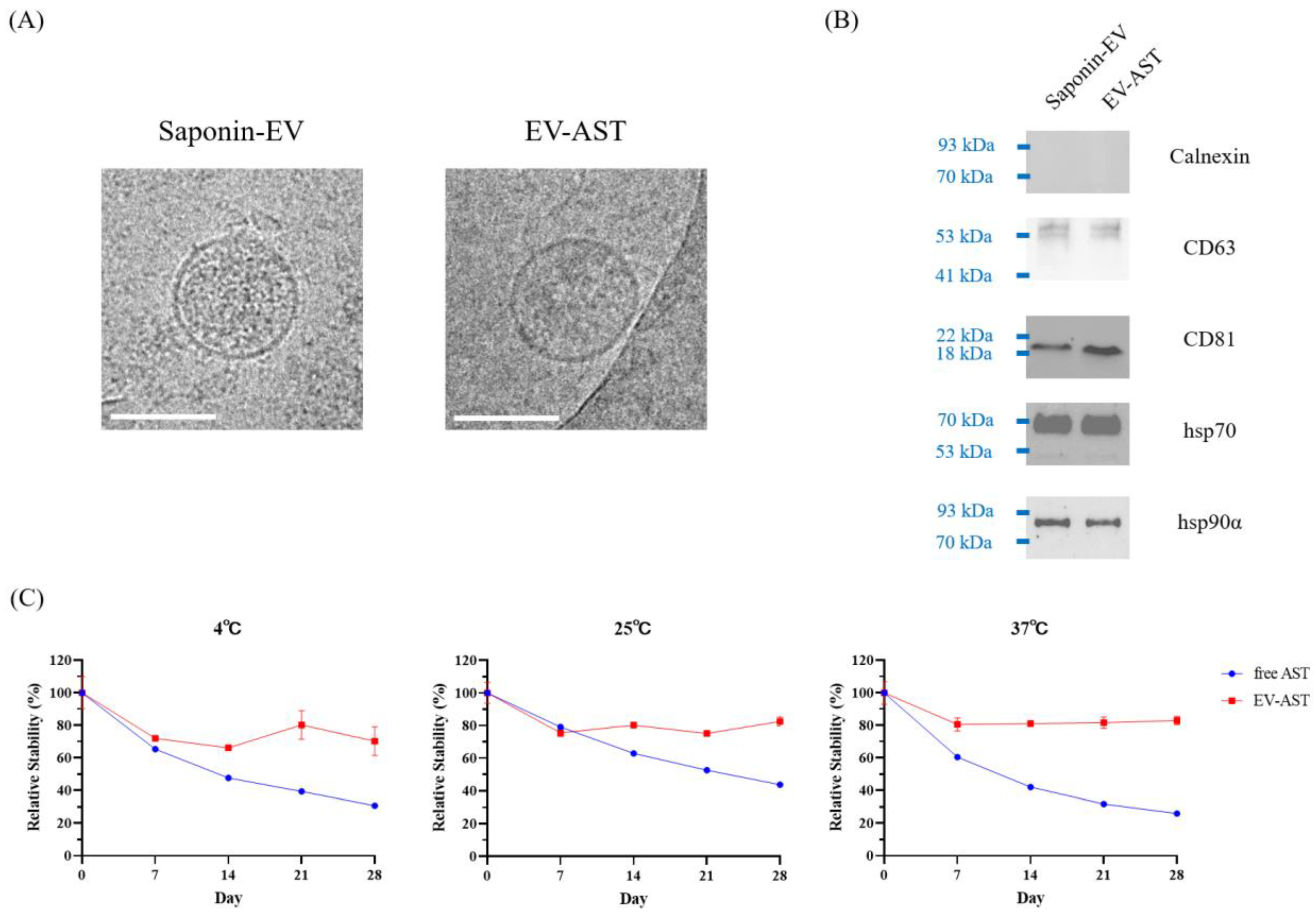 Extracellular Vesicles, as Drug-Delivery Vehicles, Improve the ...