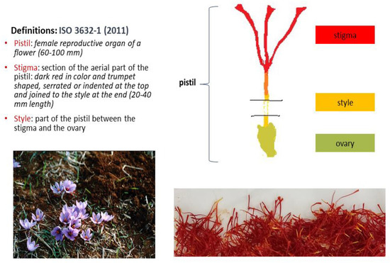 Antioxidants | Free Full-Text | On the Importance of the Starting ...