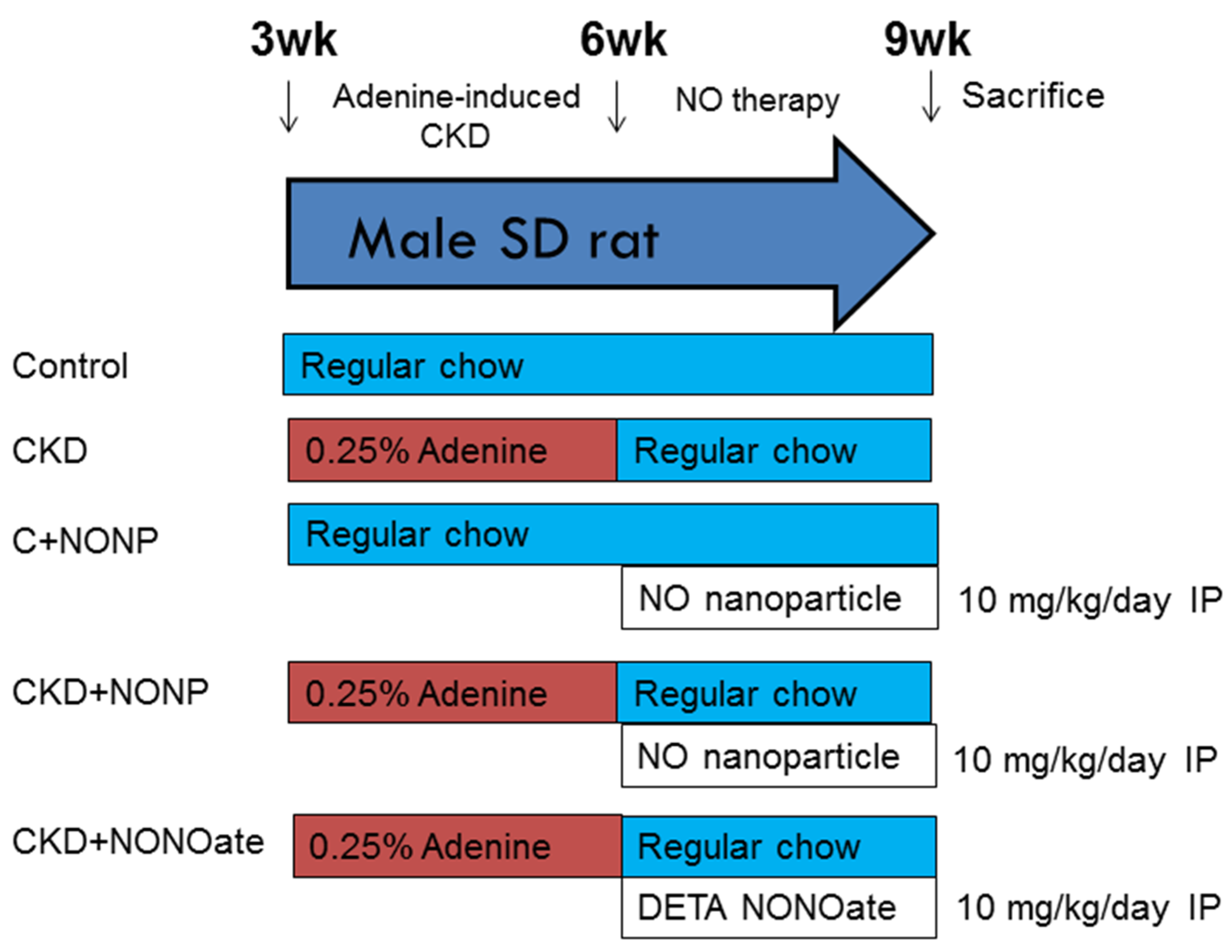 Anti-Hypertensive Property of an NO Nanoparticle in an Adenine-Induced Chronic Kidney Disease ...
