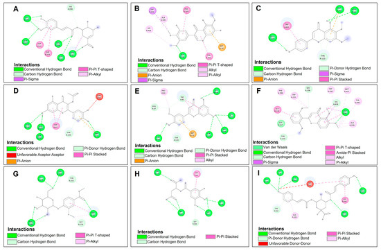 Phytochemical Characterization and In Vitro and In Silico Biological ...