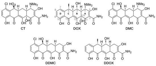 Rescue of Dopamine Neurons from Iron-Dependent Ferroptosis by ...