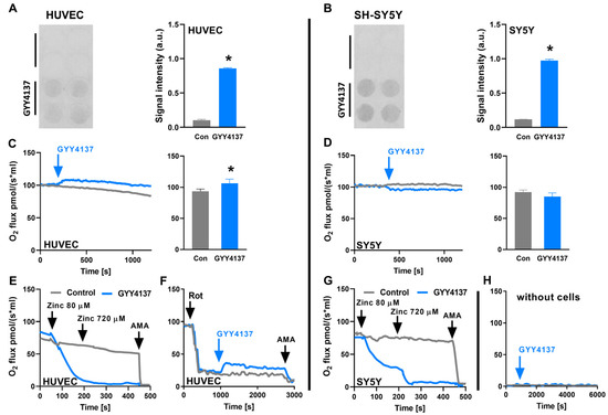 GYY4137-Derived Hydrogen Sulfide Donates Electrons to the Mitochondrial ...