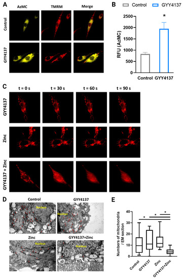 GYY4137-Derived Hydrogen Sulfide Donates Electrons to the Mitochondrial ...