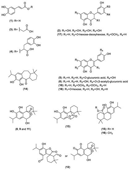 Rosemary (Rosmarinus officinalis L.) Glycolic Extract Protects Liver ...