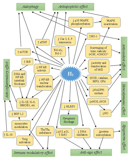 Molecular Hydrogen: From Molecular Effects to Stem Cells Management and ...