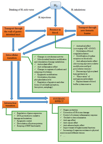Molecular Hydrogen: From Molecular Effects to Stem Cells Management and ...