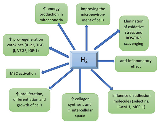 Molecular Hydrogen: From Molecular Effects to Stem Cells Management and ...