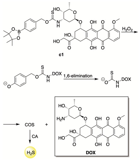 H2S Donors with Cytoprotective Effects in Models of MI/R Injury and ...