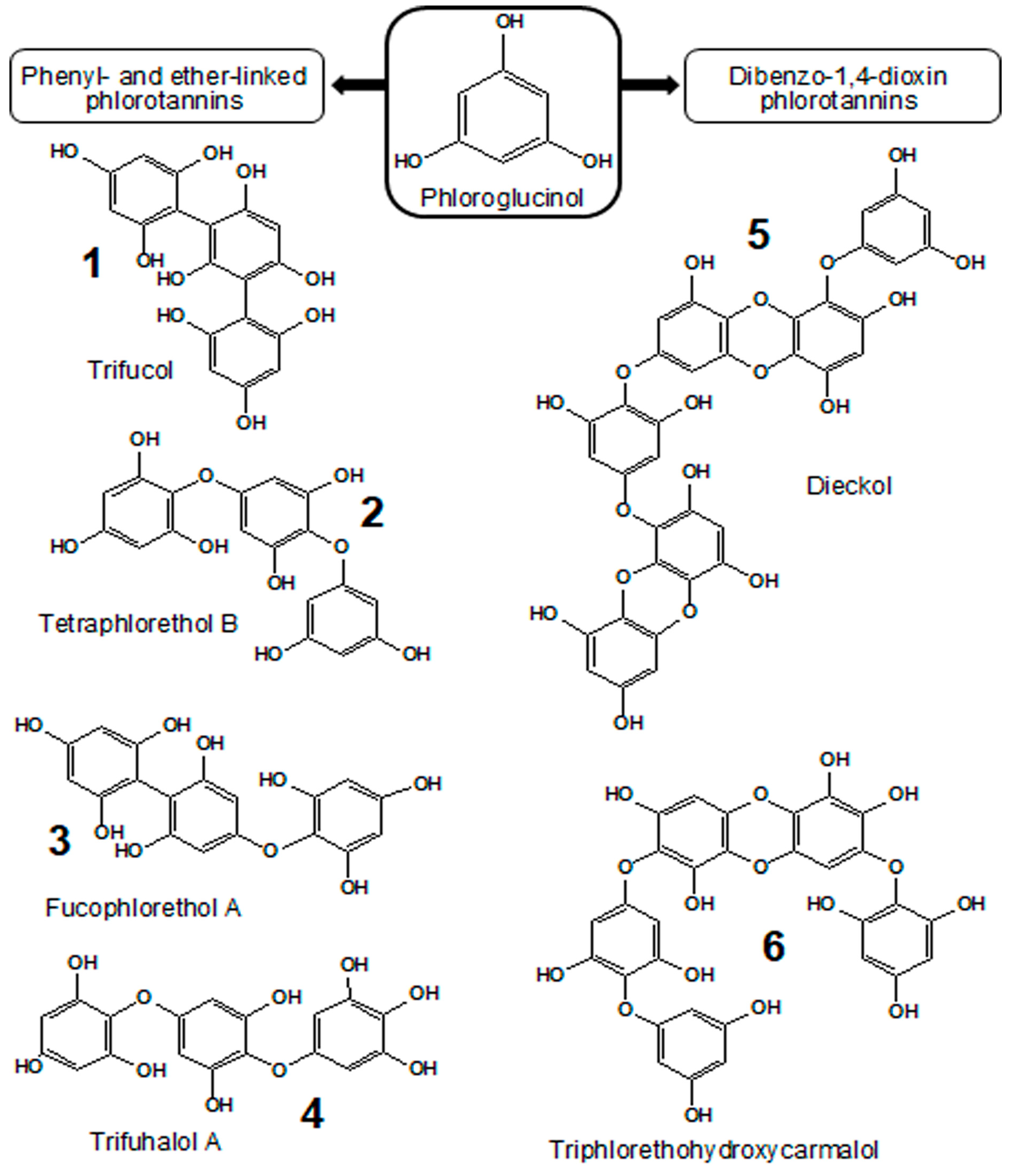First Insight into the Neuroprotective and Antibacterial Effects of ...