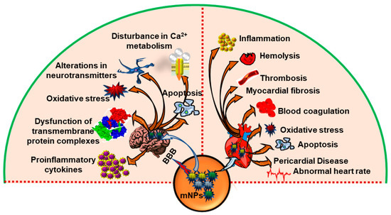 Metal-Based Nanoparticles and Their Relevant Consequences on ...