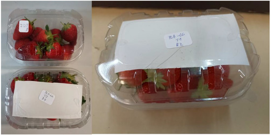 Biodegradable Active Packaging Enriched with Essential Oils for Enhancing the Shelf Life of ...