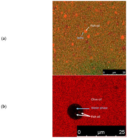 Evaluation of the Physical and Oxidative Stabilities of Fish Oil-in ...