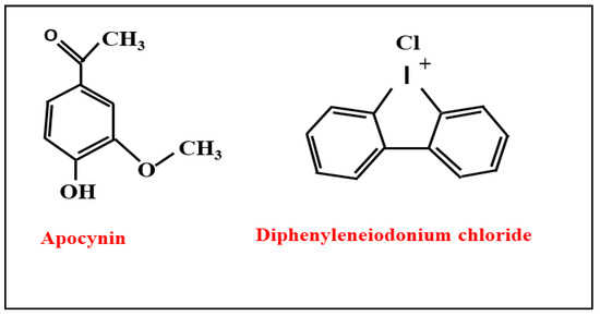 The NADPH Oxidase Inhibitors Apocynin and Diphenyleneiodonium Protect ...