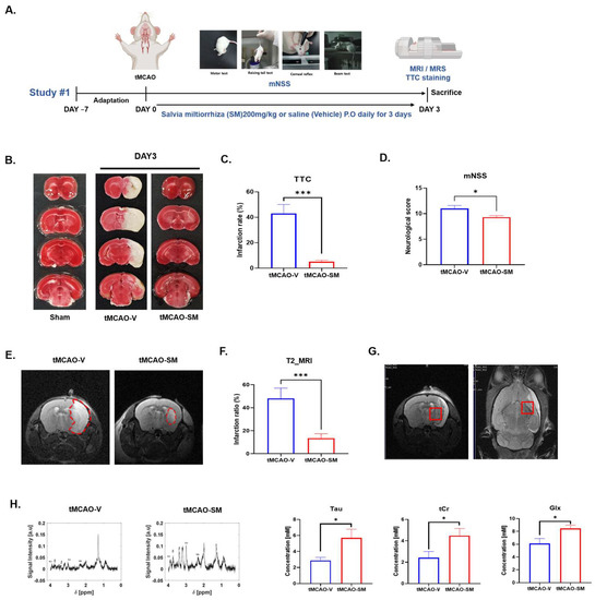 Salvia miltiorrhiza Alleviates Memory Deficit Induced by Ischemic Brain ...