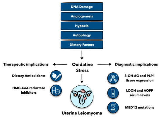Oxidative Stress and Antioxidants in Uterine Fibroids: Pathophysiology ...