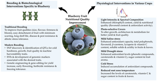 Improving Blueberry Fruit Nutritional Quality through Physiological and ...