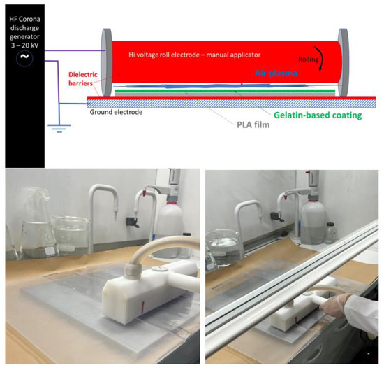 Influence of Surface Corona Discharge Process on Functional and ...