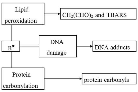 The Biochemistry and Effectiveness of Antioxidants in Food, Fruits, and ...