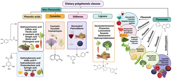 Antioxidants Free Full Text Polyphenols—ensured Accessibility From