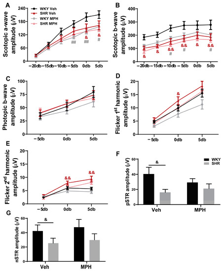 Attention-Deficit/Hyperactivity Disorder Animal Model Presents Retinal ...