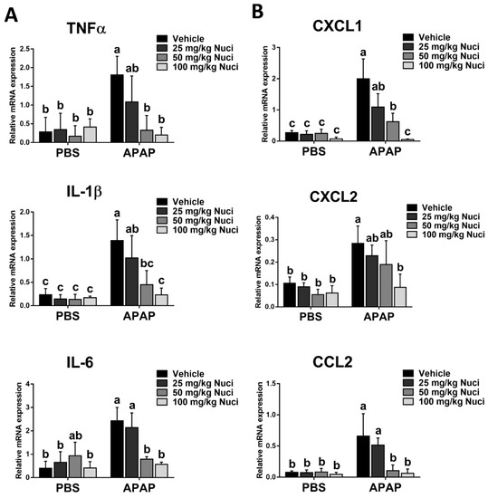 Nuciferine Effectively Protects Mice against Acetaminophen-Induced ...