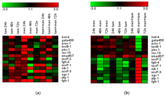 A Study on the Planarian Model Confirms the Antioxidant Properties of ...