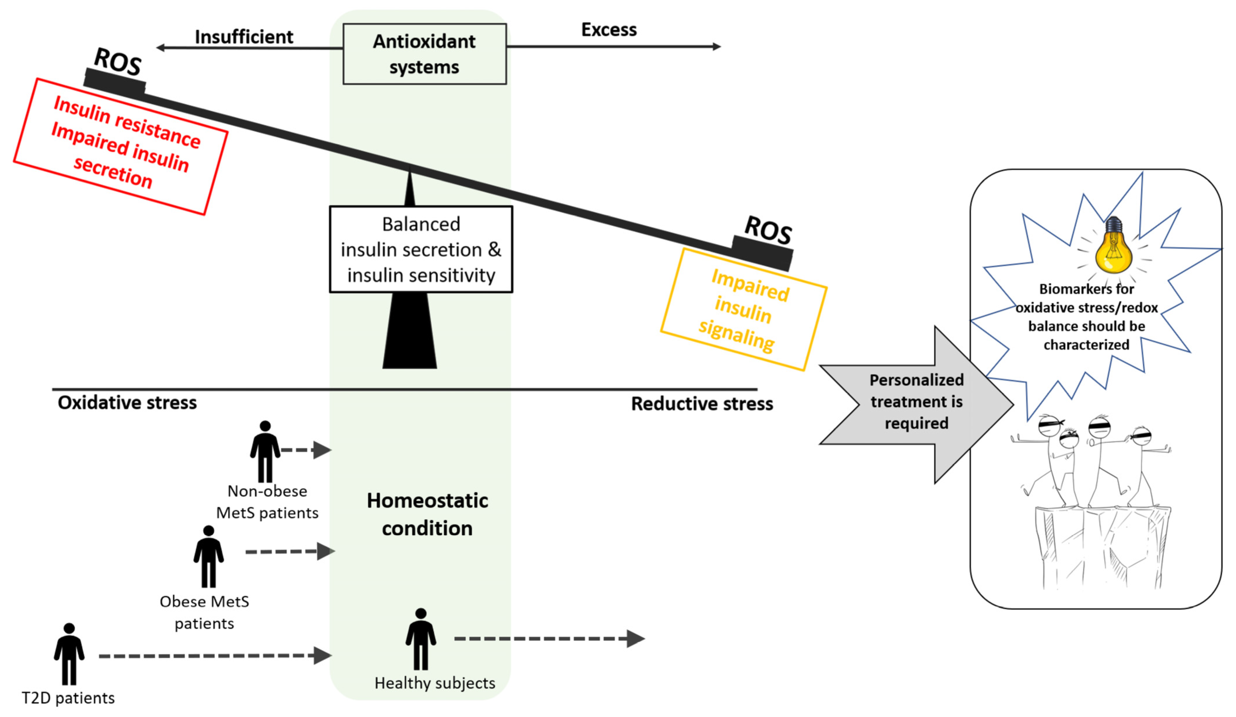 Redox Balance in Type 2 Diabetes: Therapeutic Potential and the ...