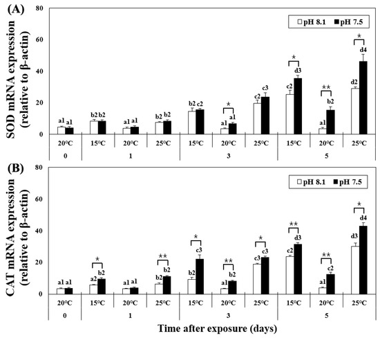 Oxidative Stress and Apoptosis in Disk Abalone (Haliotis discus hannai ...