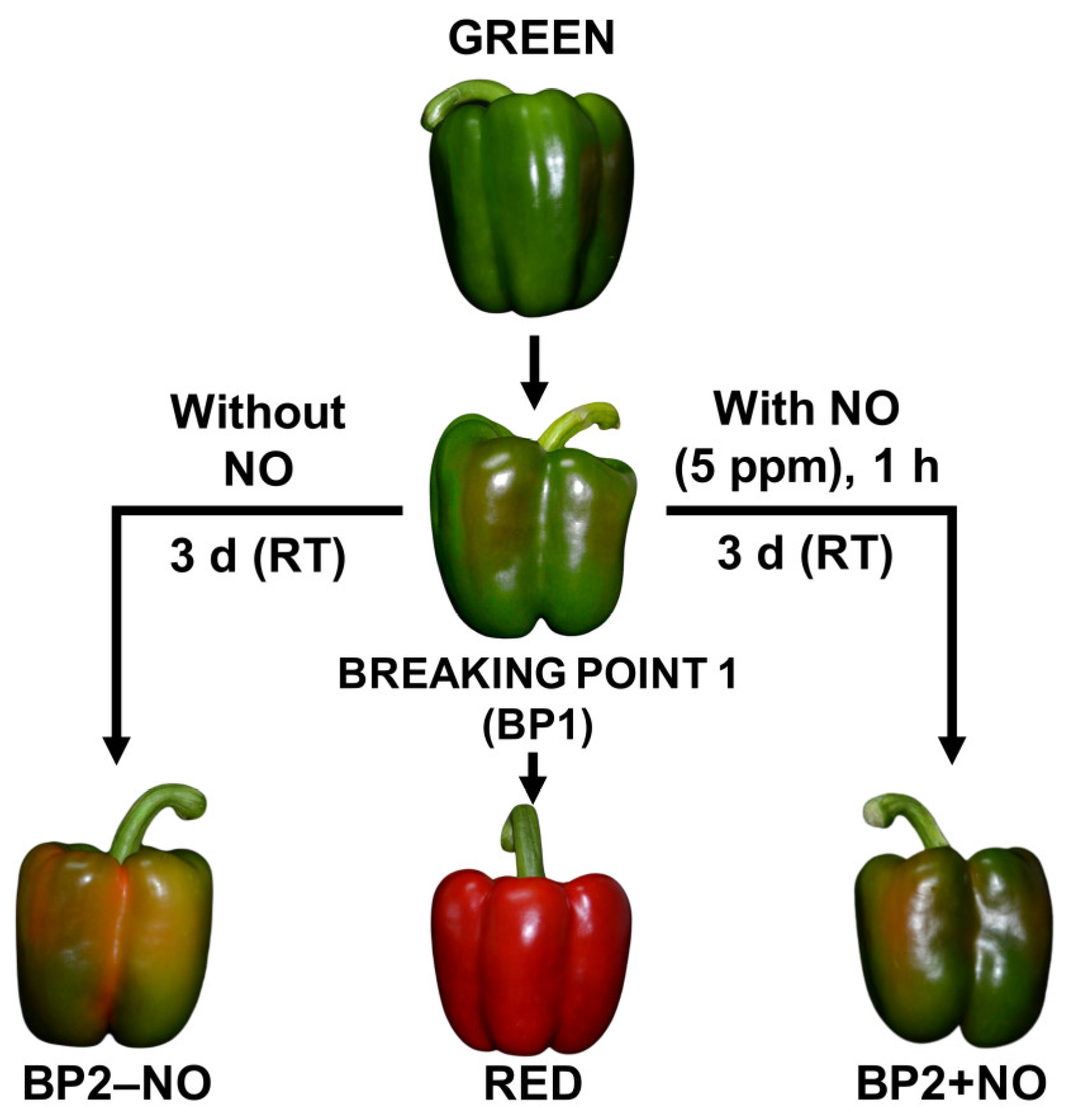 Class III Peroxidases (POD) in Pepper (Capsicum annuum L.): Genome-Wide Identification and ...