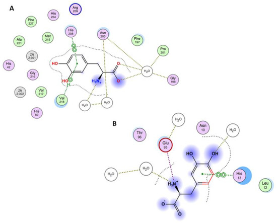 Mangiferin Affects Melanin Synthesis by an Influence on Tyrosinase ...