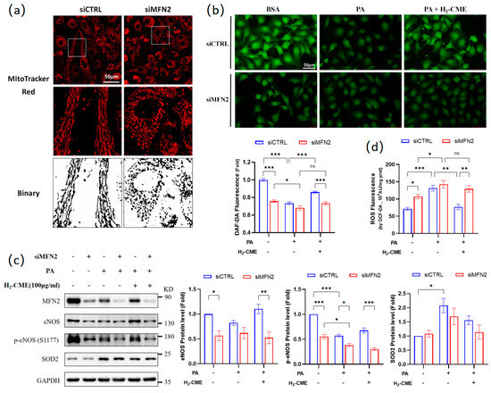 Hydrogen Protection Boosts the Bioactivity of Chrysanthemum morifolium ...