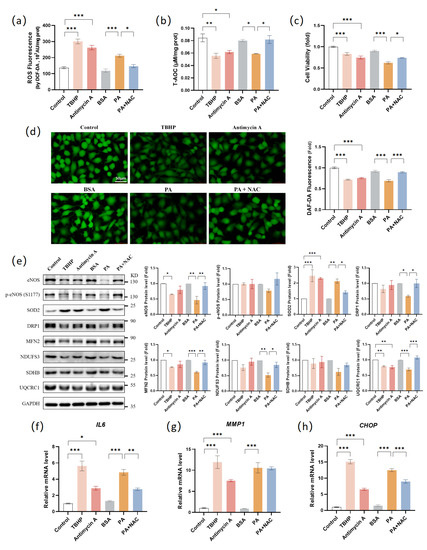 Hydrogen Protection Boosts the Bioactivity of Chrysanthemum morifolium ...