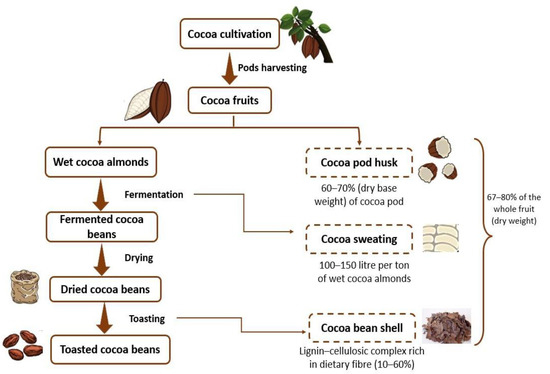 Antioxidants | Free Full-Text | Cocoa Bean Shell: A By-Product with High Potential for ...