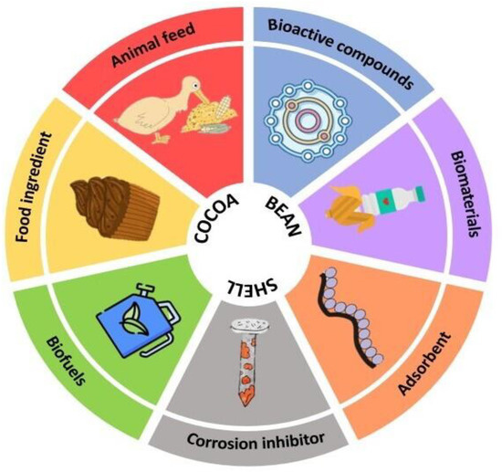 Antioxidants | Free Full-Text | Cocoa Bean Shell: A By-Product with ...