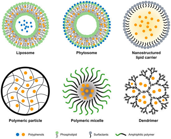 Advanced Delivery System of Polyphenols for Effective Cancer Prevention ...