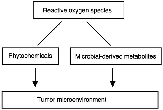 Pleiotropic Signaling by Reactive Oxygen Species Concerted with Dietary ...