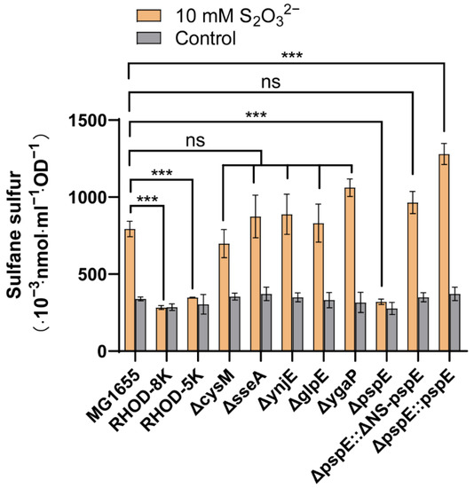 The Rhodanese PspE Converts Thiosulfate to Cellular Sulfane Sulfur in ...