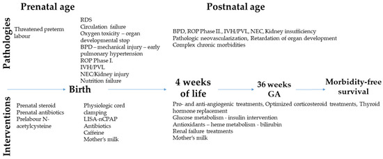 Prevention of Chronic Morbidities in Extremely Premature Newborns with ...