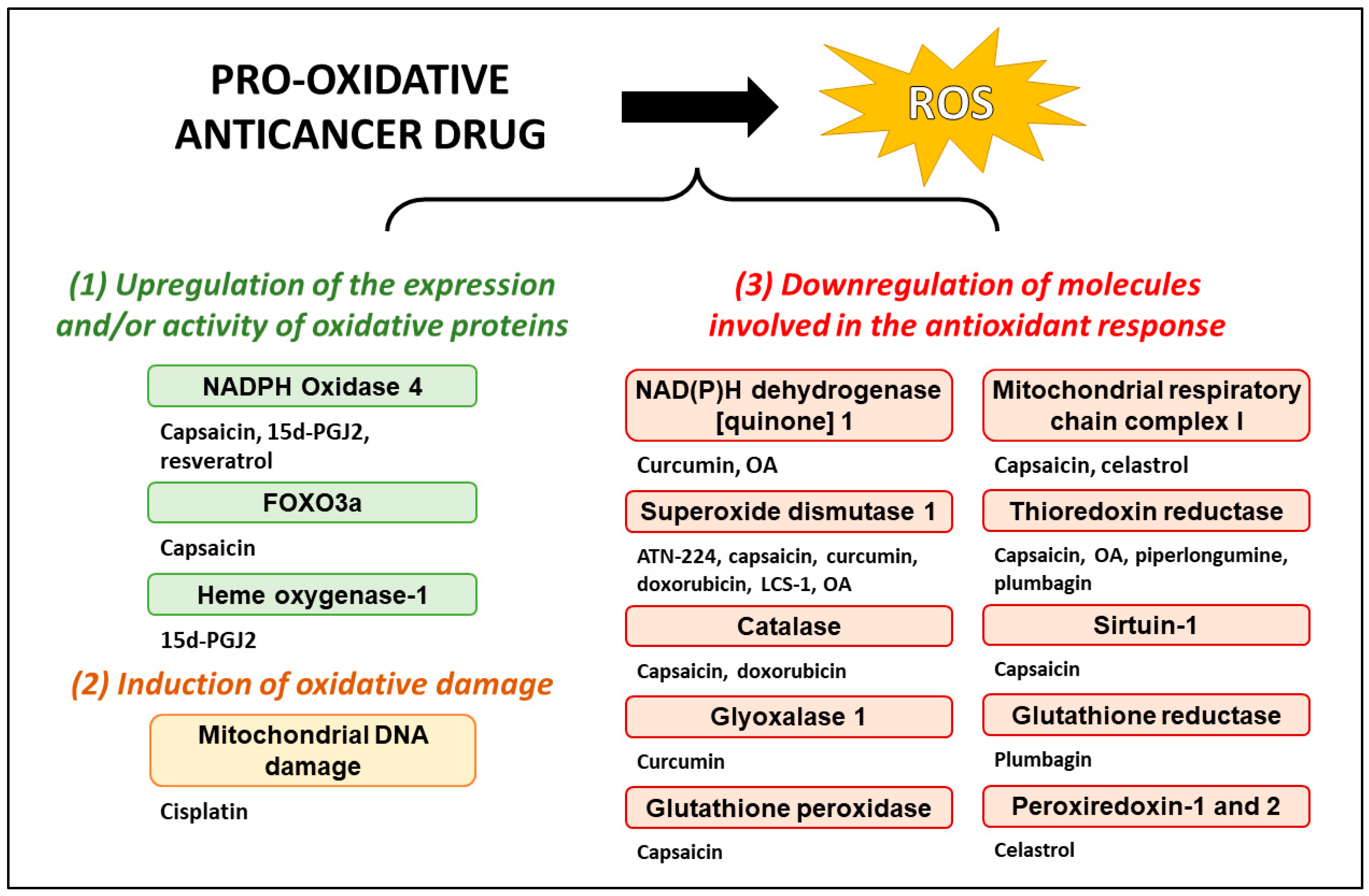 Antioxidants Free Full Text Oxidative Stress Inducers In Cancer