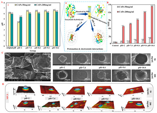 Marine-Derived Bioactive Peptides Self-Assembled Multifunctional ...