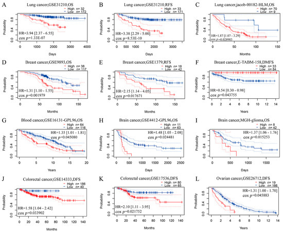 Cytoprotective Role of Heme Oxygenase-1 in Cancer Chemoresistance ...