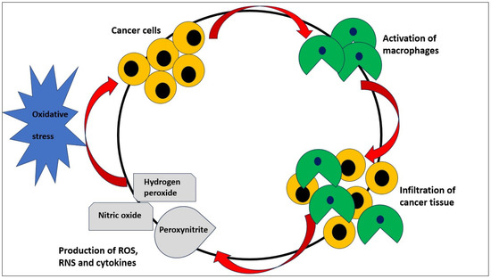 Gender Differences in Oxidative Stress in Relation to Cancer ...