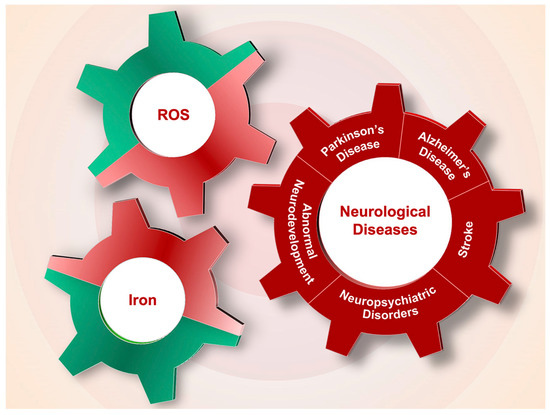 Brain Iron Metabolism, Redox Balance and Neurological Diseases