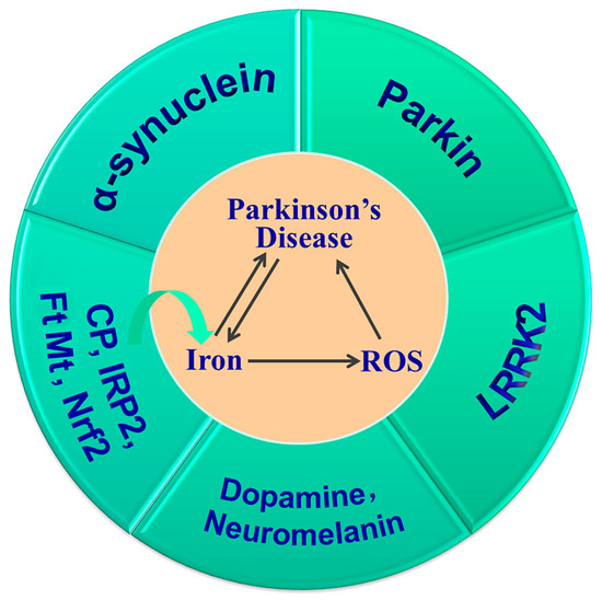 Brain Iron Metabolism, Redox Balance and Neurological Diseases