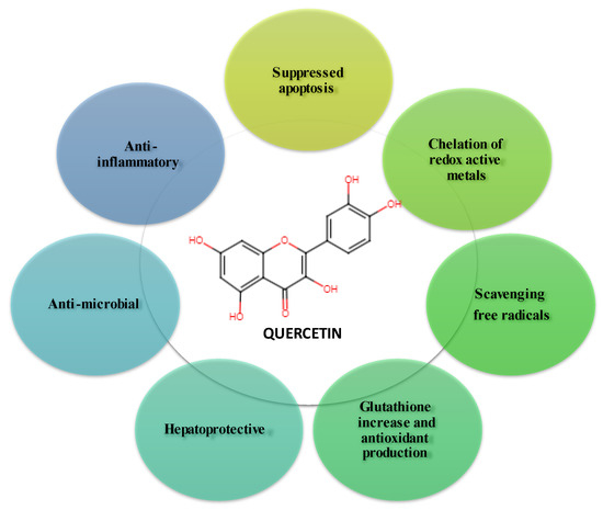 Exploitation of Quercetin’s Antioxidative Properties in Potential ...