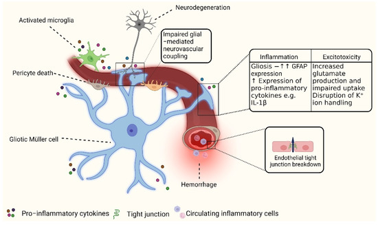 Aldehyde Dehydrogenase and Aldo-Keto Reductase Enzymes: Basic Concepts ...