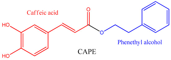 Caffeic Acid Phenethyl Ester (CAPE): Biosynthesis, Derivatives and ...