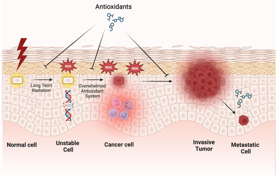 Evidence-Based Utility of Adjunct Antioxidant Supplementation for the ...