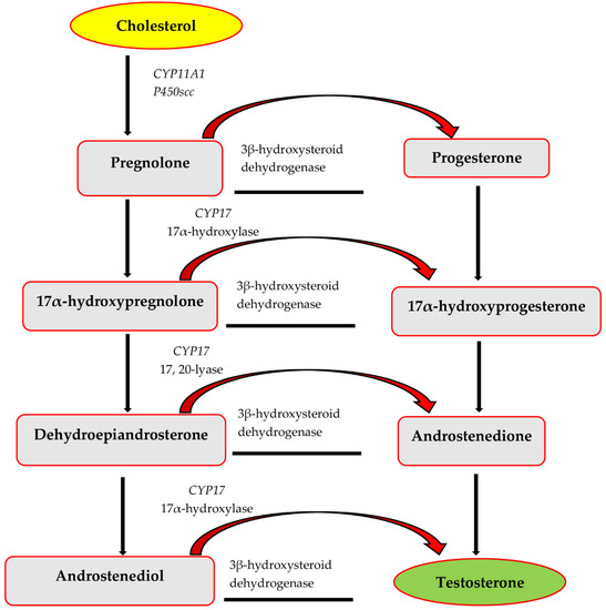 A Review on the Impact of Oxidative Stress and Medicinal Plants on ...