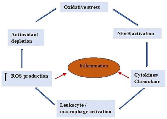 A Review on the Impact of Oxidative Stress and Medicinal Plants on ...